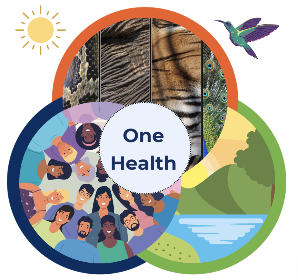 The One Health Approach Home